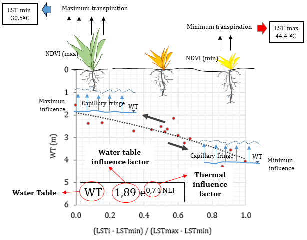 Influence of Shallow Water Table on Land Surface Temperature